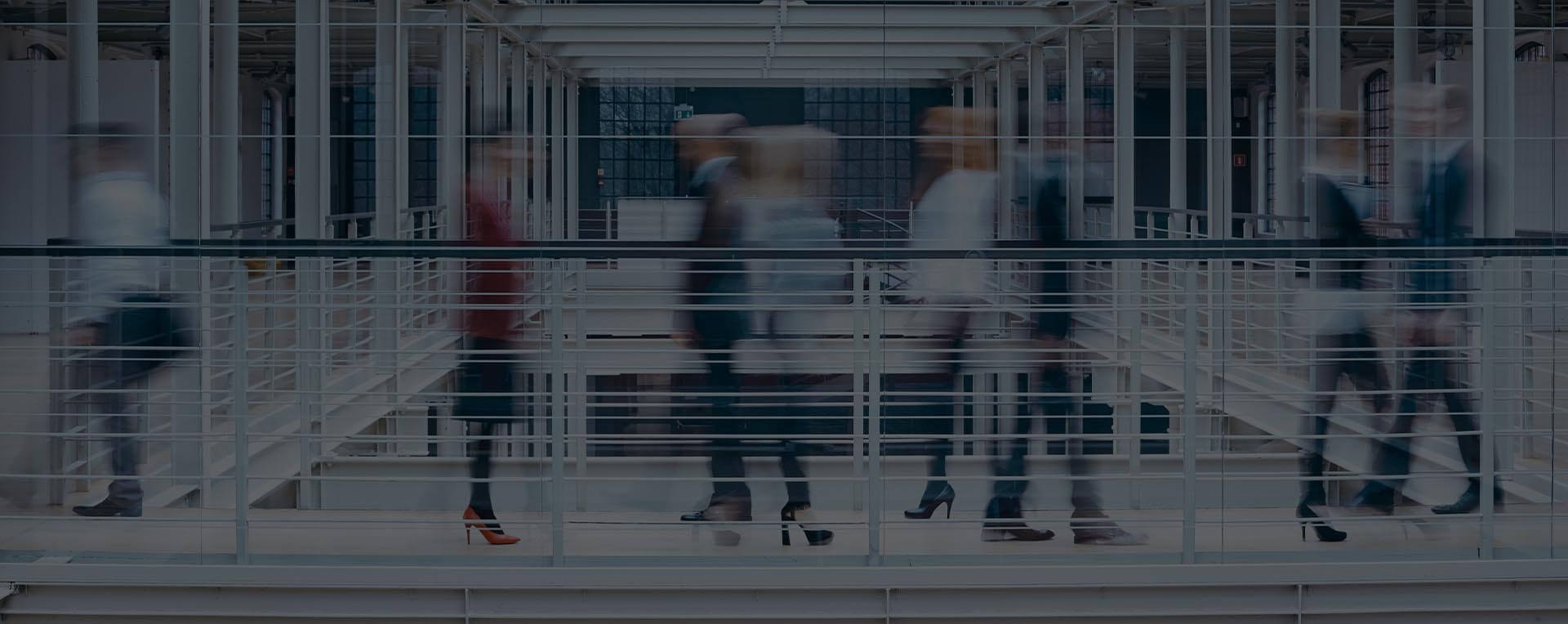 Our Team | Sétanta Development Capital